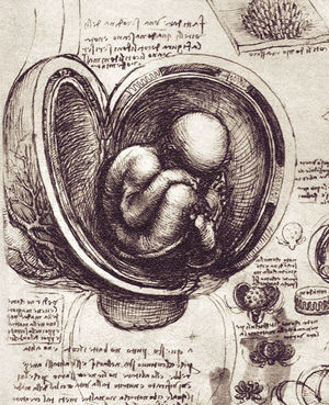 Piometra o infección de útero. El peligro mayor de las perras no ...